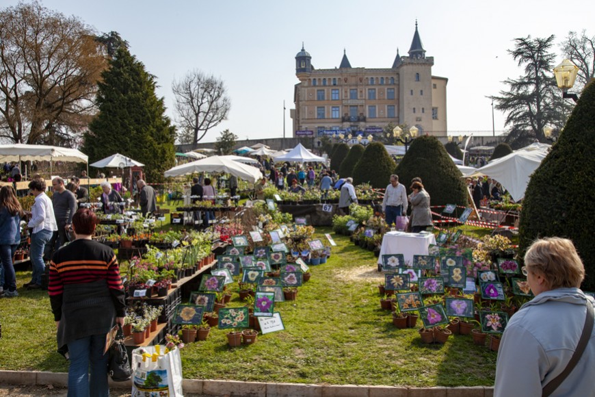Fêtes des Plantes de Mars à ne pas manquer